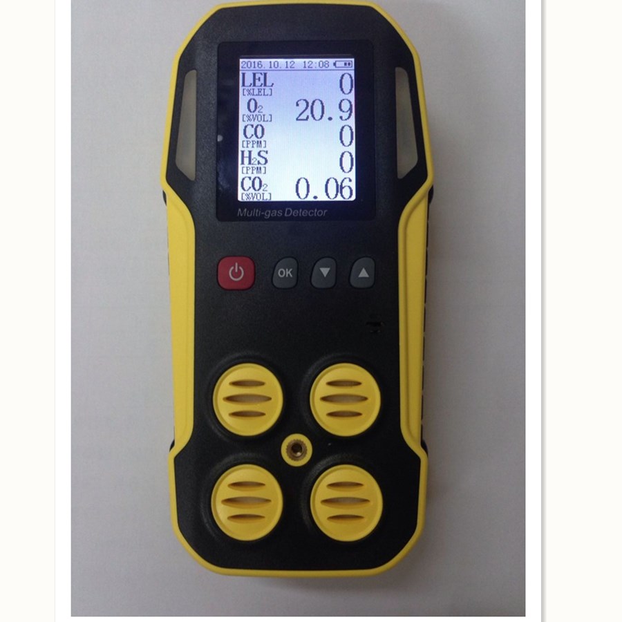 5 In 1 Gas Detecting Analyzer For Co H2s Ch4 Co2 O2 With Data Logger