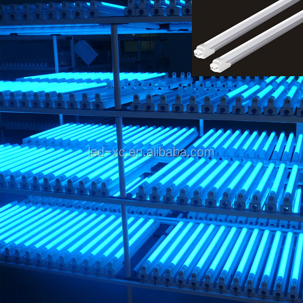16w T8 Red Tube Sex Led Vietnam Tube Cinnamon Chea China Osave Price